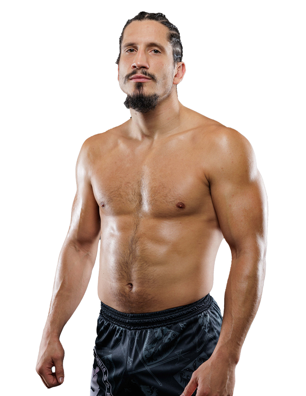 Miloš Cvjetićanin - GLORY Kickboxing